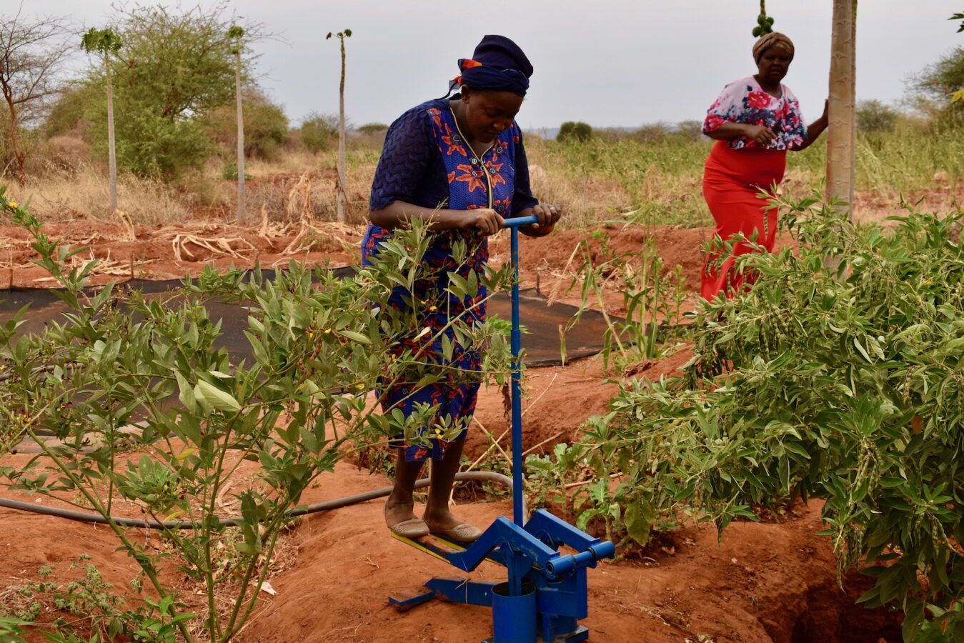 Ruth Matheka | Kenya - ActionAid Australia